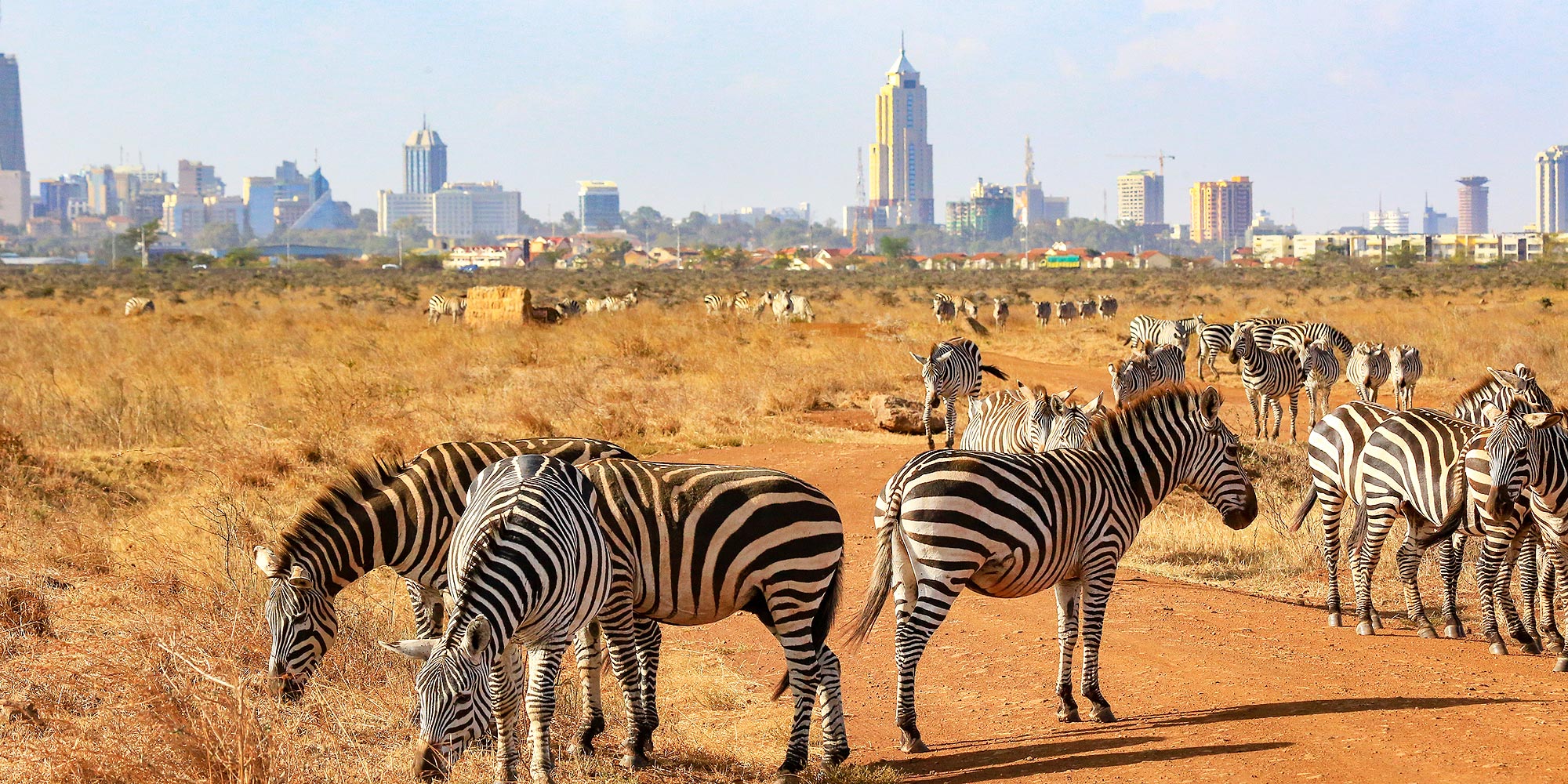 Book Your Holiday to Nairobi with Qatar Airways Holidays